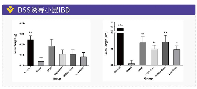 炎症疾病模型_自身免疫疾病模型-美迪西生物医药